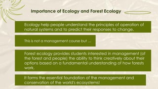 WHAT-IS-FOREST-ECOLOGY.pdf A Powerpoint Presentation | PPT