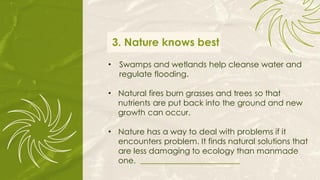 WHAT-IS-FOREST-ECOLOGY.pdf A Powerpoint Presentation | PDF