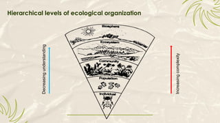 WHAT-IS-FOREST-ECOLOGY.pdf A Powerpoint Presentation | PDF