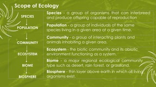 WHAT-IS-FOREST-ECOLOGY.pdf A Powerpoint Presentation | PDF