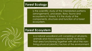 WHAT-IS-FOREST-ECOLOGY.pdf A Powerpoint Presentation | PDF