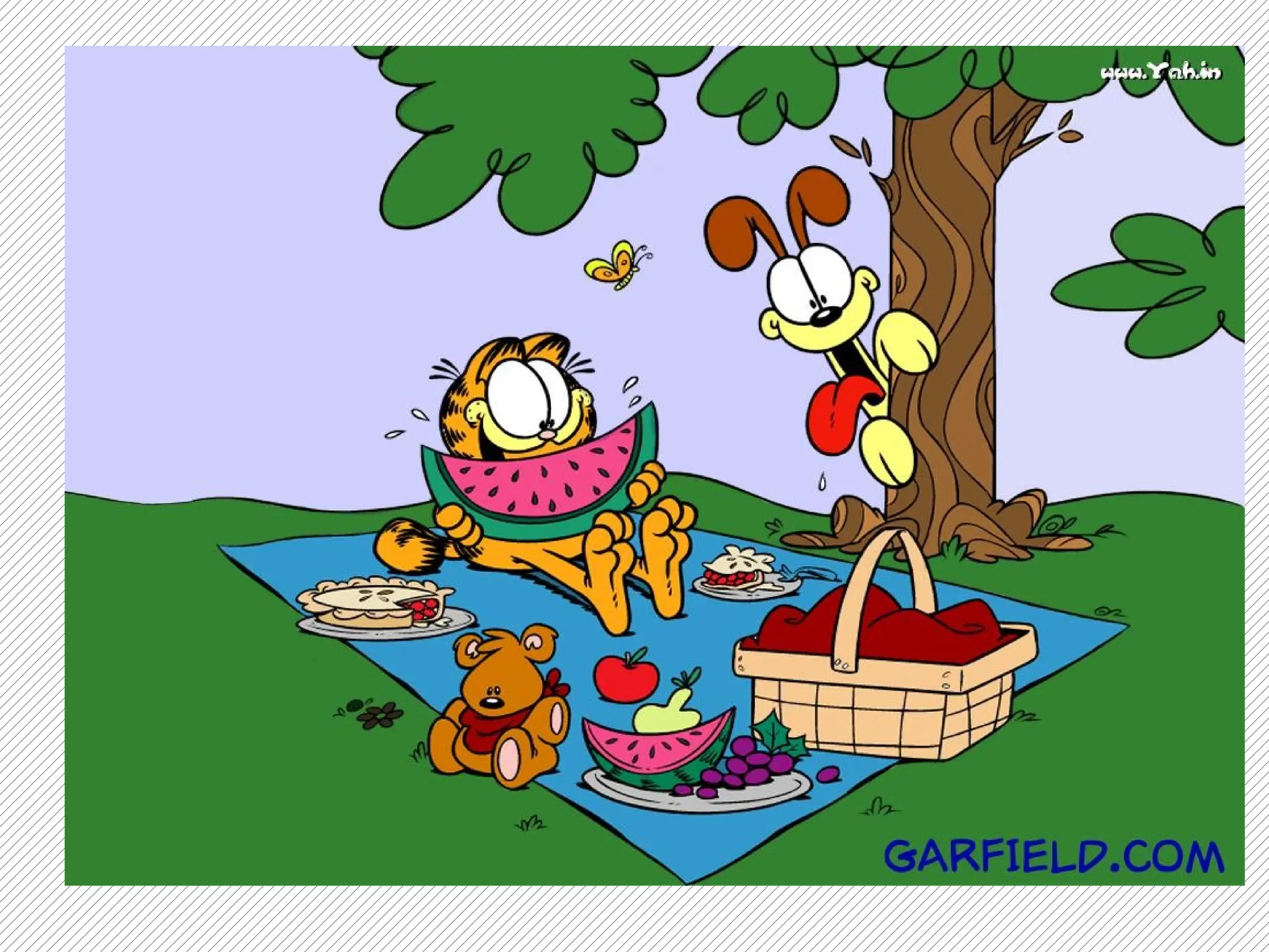 what-is-garfield-doing-picture-description-exercises_29124.pptx