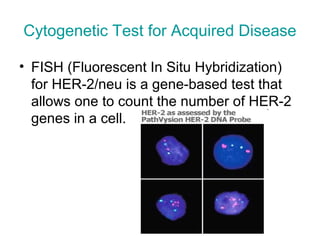 What is-genetic-testing-powerpoint1562 | PPT