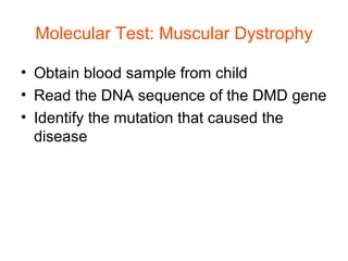 What is-genetic-testing-powerpoint1562 | PPT