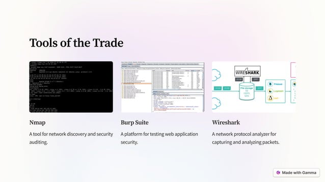 What-is-Hacking and why is it important what are it’s benefits | PPT