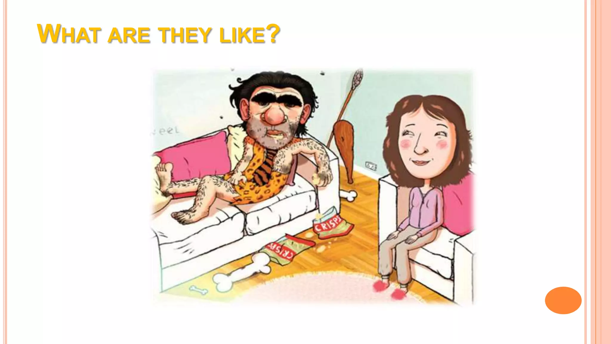 what-is-he_she-like.pptx