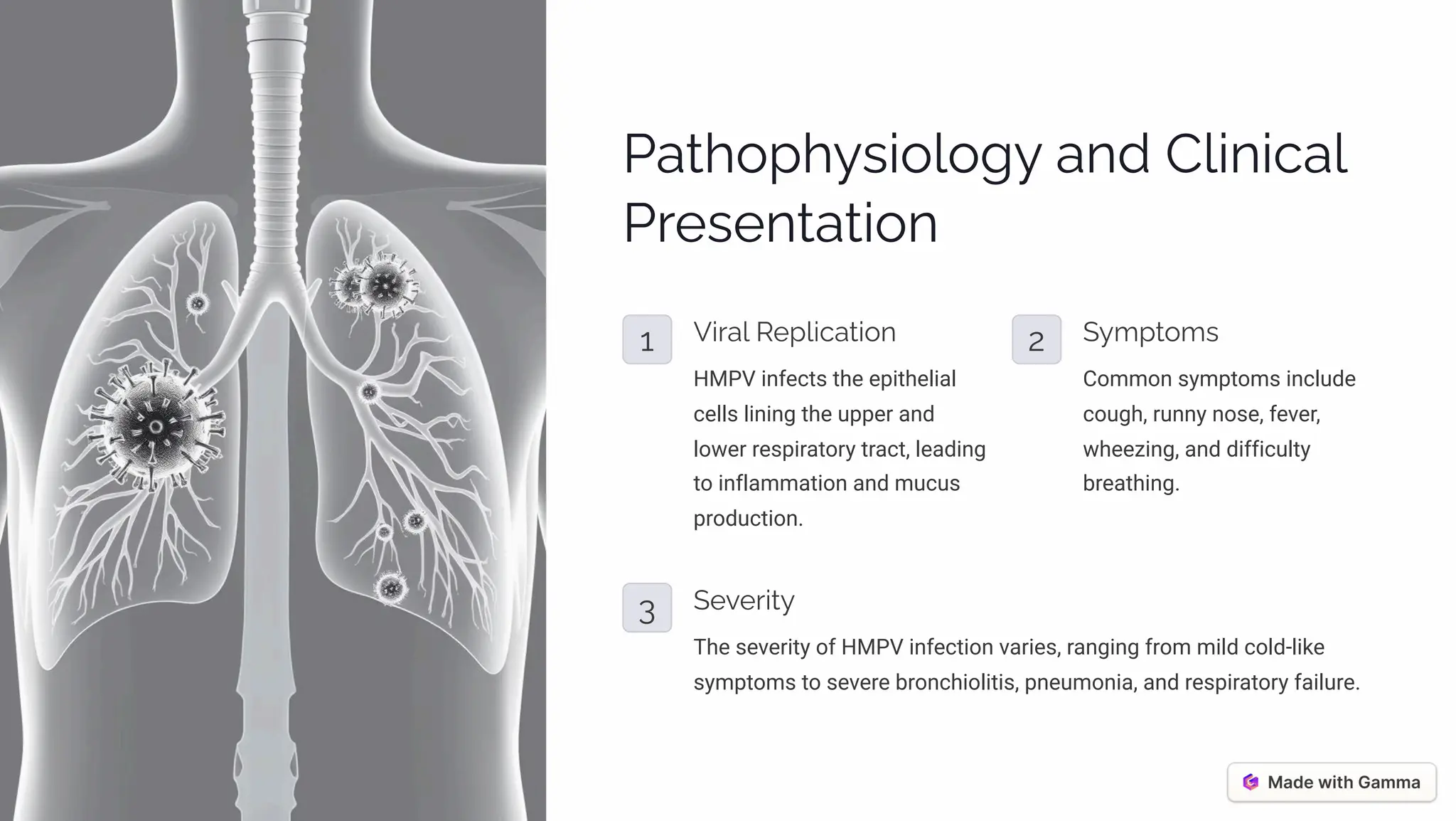 Human Metapneumovirus: Symptoms, Risks, and Prevention | PPT
