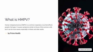 Human Metapneumovirus: Symptoms, Risks, and Prevention | PDF