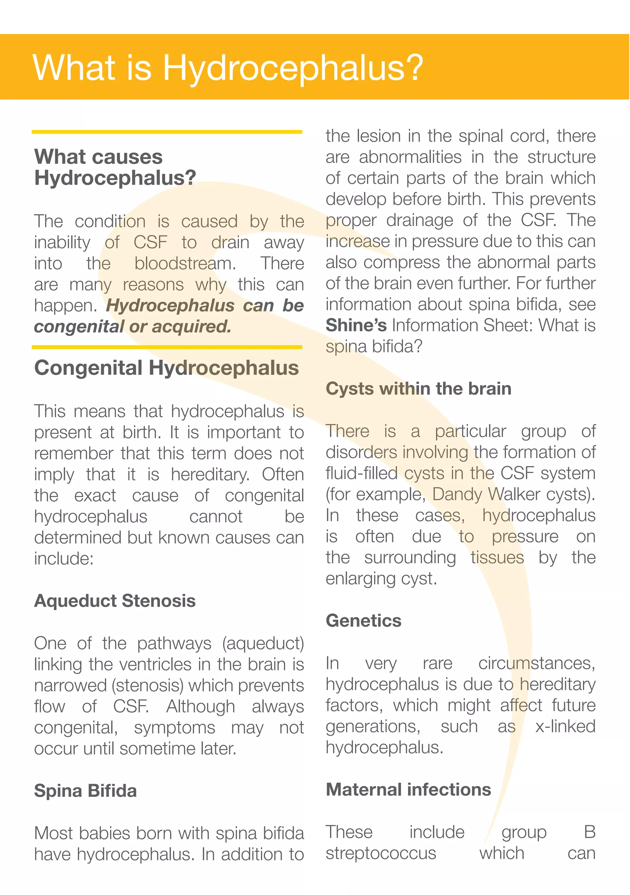 What is Hydrocephalus? | PDF