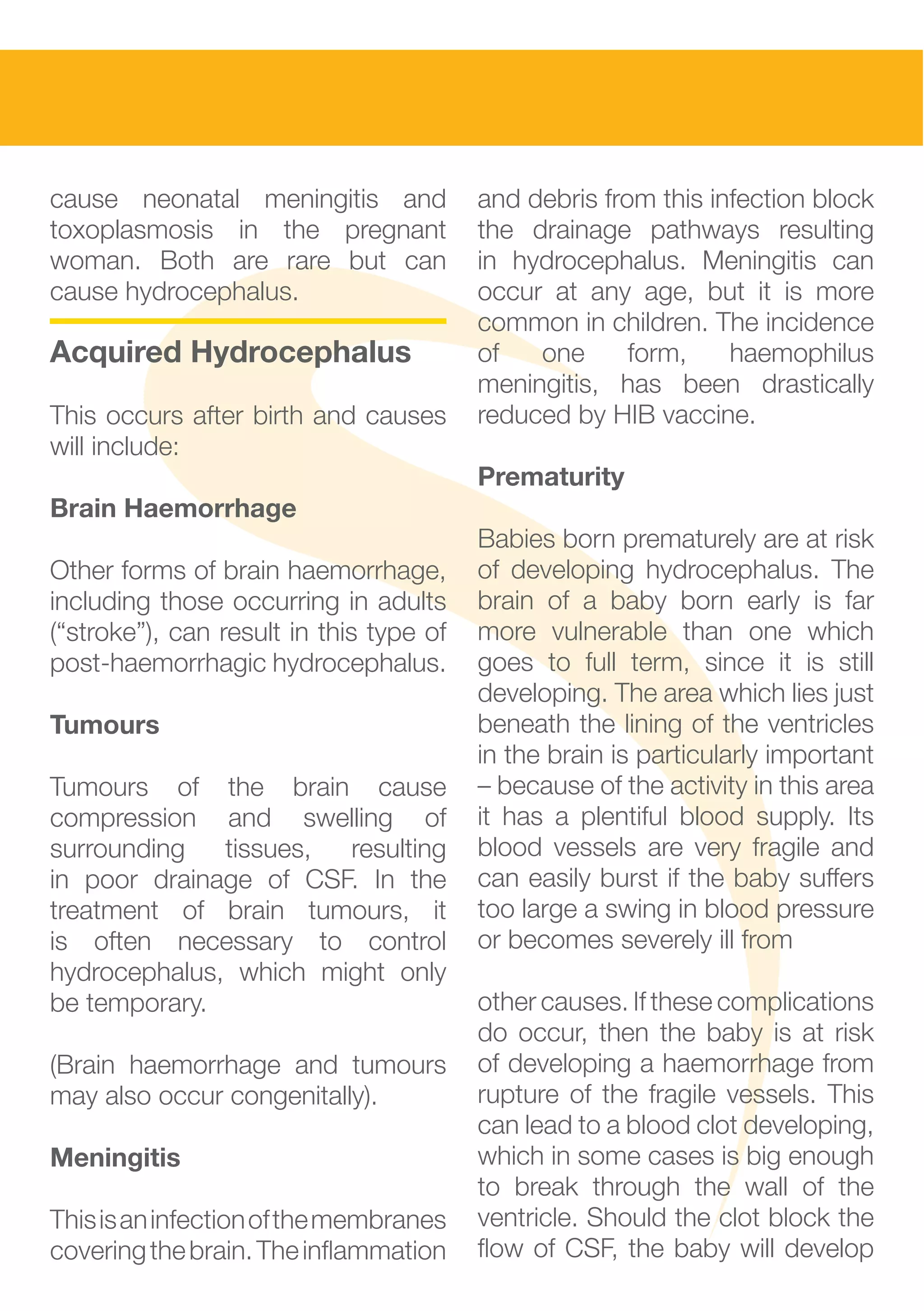 What is Hydrocephalus? | PDF | Brain and Nervous System Disorders | Diseases and Conditions