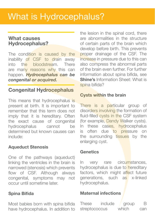 What is Hydrocephalus? | PDF | Brain and Nervous System Disorders | Diseases and Conditions