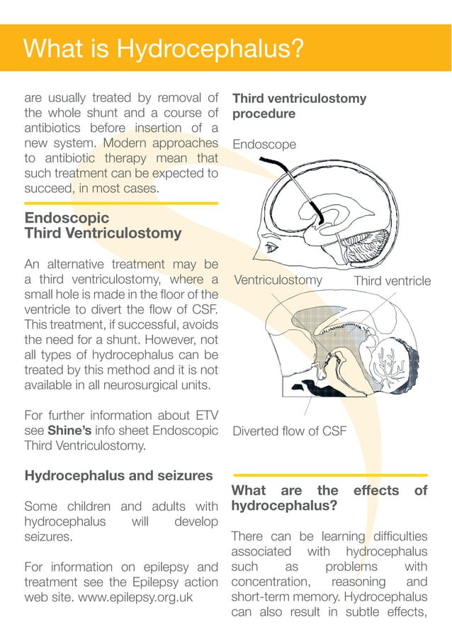What is Hydrocephalus? | PDF | Brain and Nervous System Disorders | Diseases and Conditions