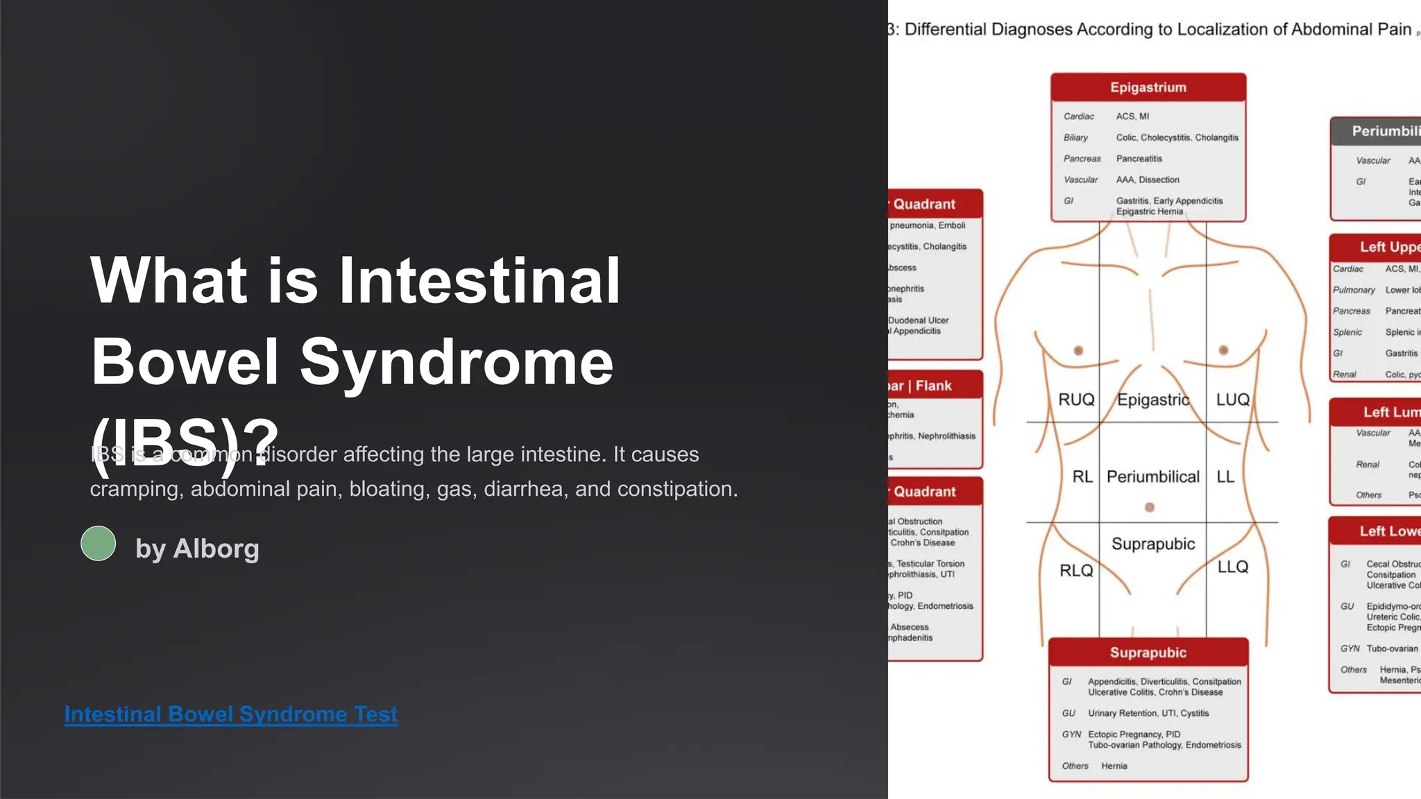 What-is-Intestinal-Bowel-Syndrome-IBS.pptx