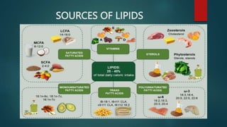 WHAT-IS-LIPIDS.pptx