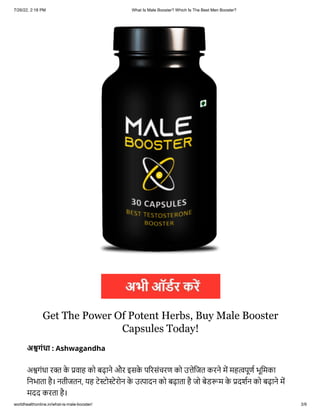 What Is Male Booster? | PDF