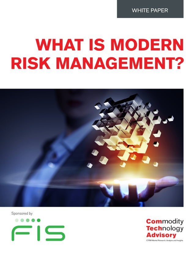 What is Modern Risk Management? | PDF