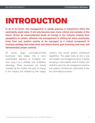 What is Modern Risk Management? | PDF