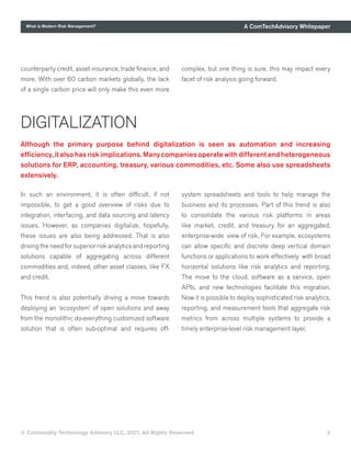 What is Modern Risk Management? | PDF