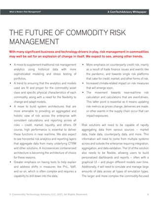 What is Modern Risk Management? | PDF