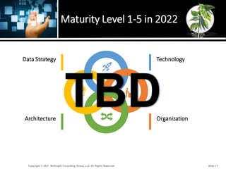What Is My Enterprise Data Maturity 2021 | PDF