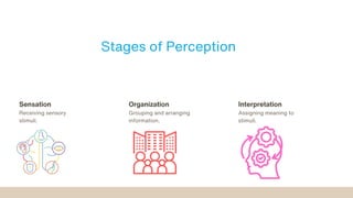 this is about perception principles more | PDF