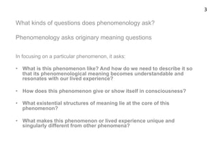 What is-phenomenology | PDF | Science