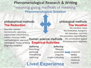 What is-phenomenology | PDF | Science