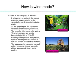 RED WINE - The Facts | PPT