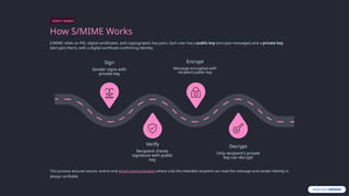 Understanding S/MIME: Essential Encrypted Email Security for Businesses ...