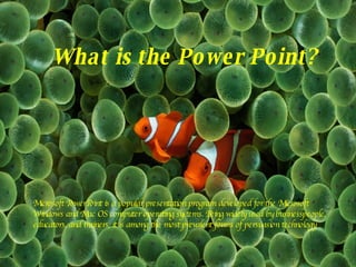 What Is The Power Point | PPT