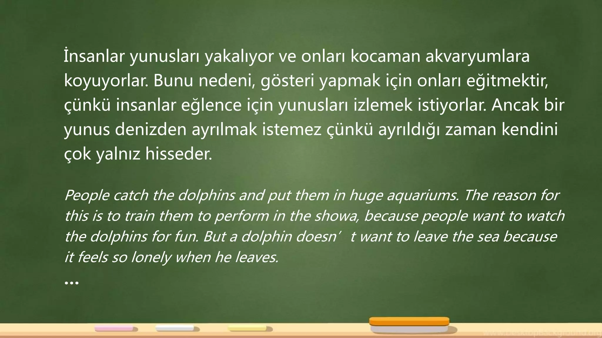 Turkish Reading Books - What Is What 2 (A2) | PPT