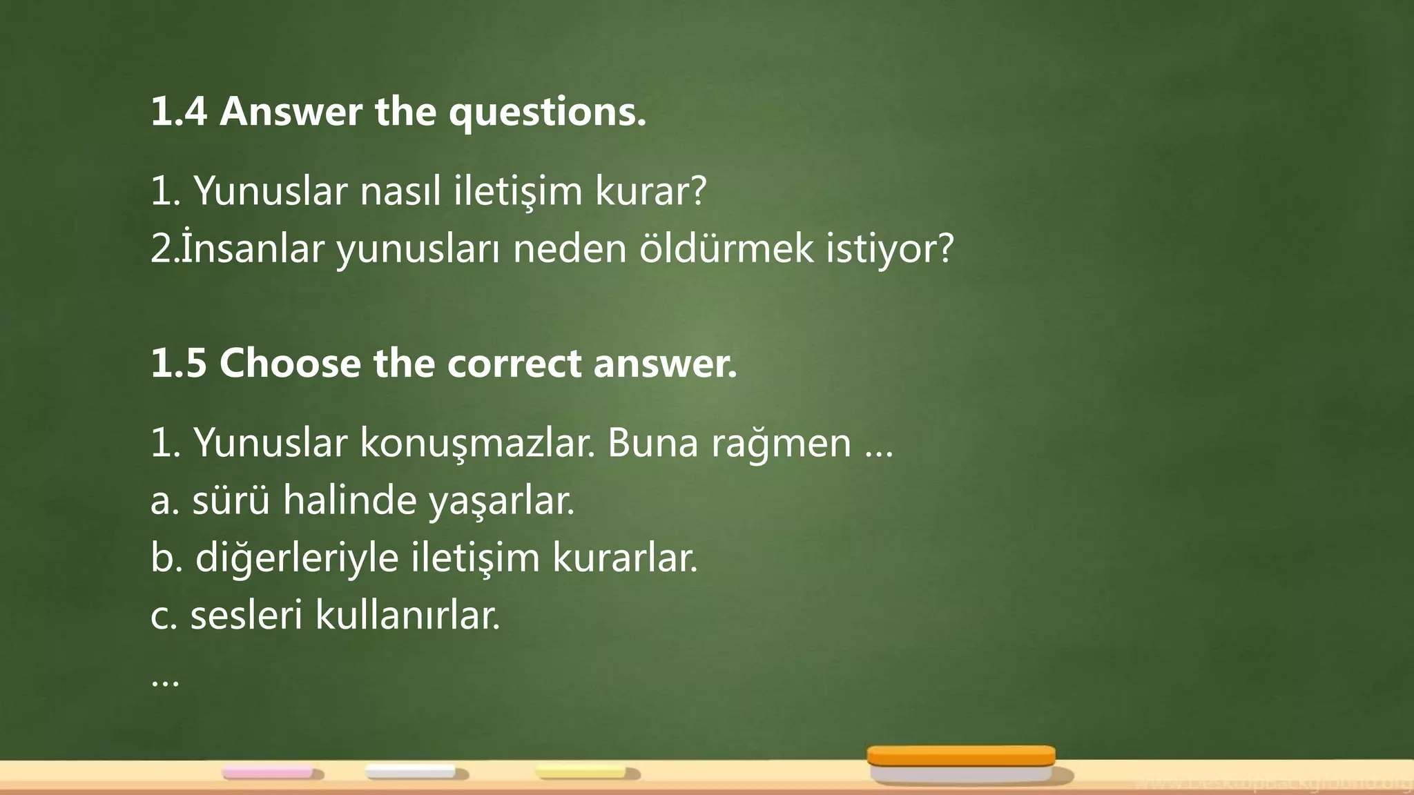 Turkish Reading Books - What Is What 2 (A2) | PPT