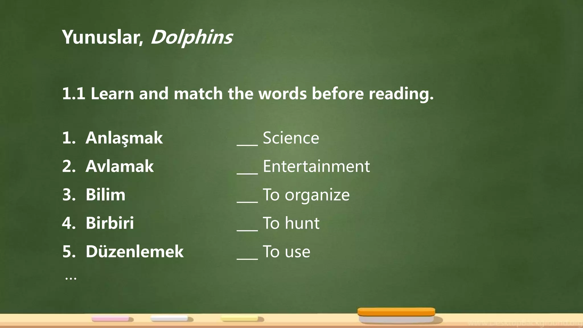 Turkish Reading Books - What Is What 2 (A2) | PPT