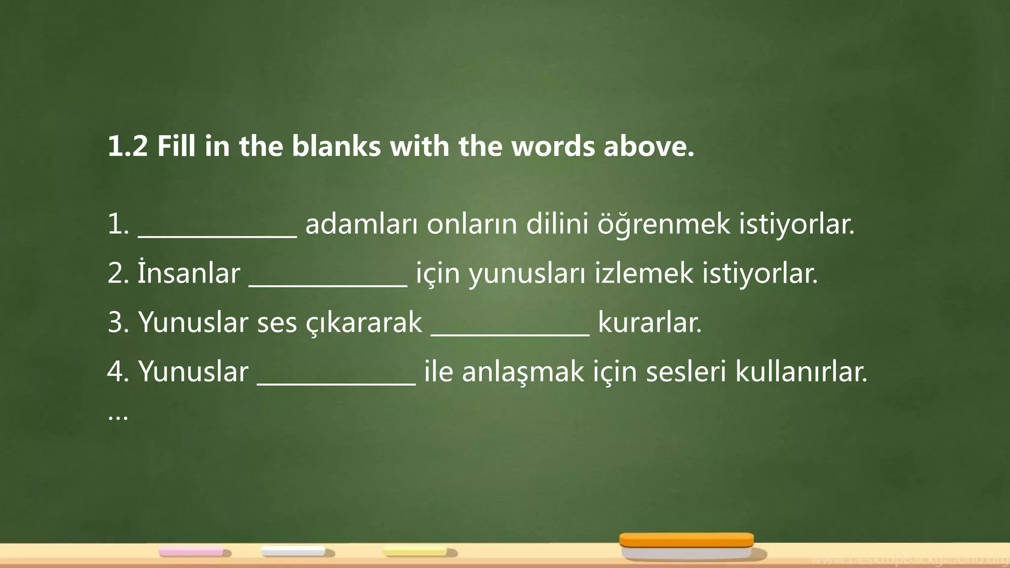 Turkish Reading Books - What Is What 2 (A2) | PPT