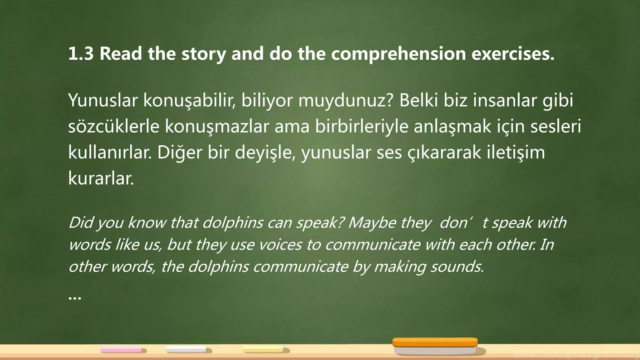 Turkish Reading Books - What Is What 2 (A2) | PPT