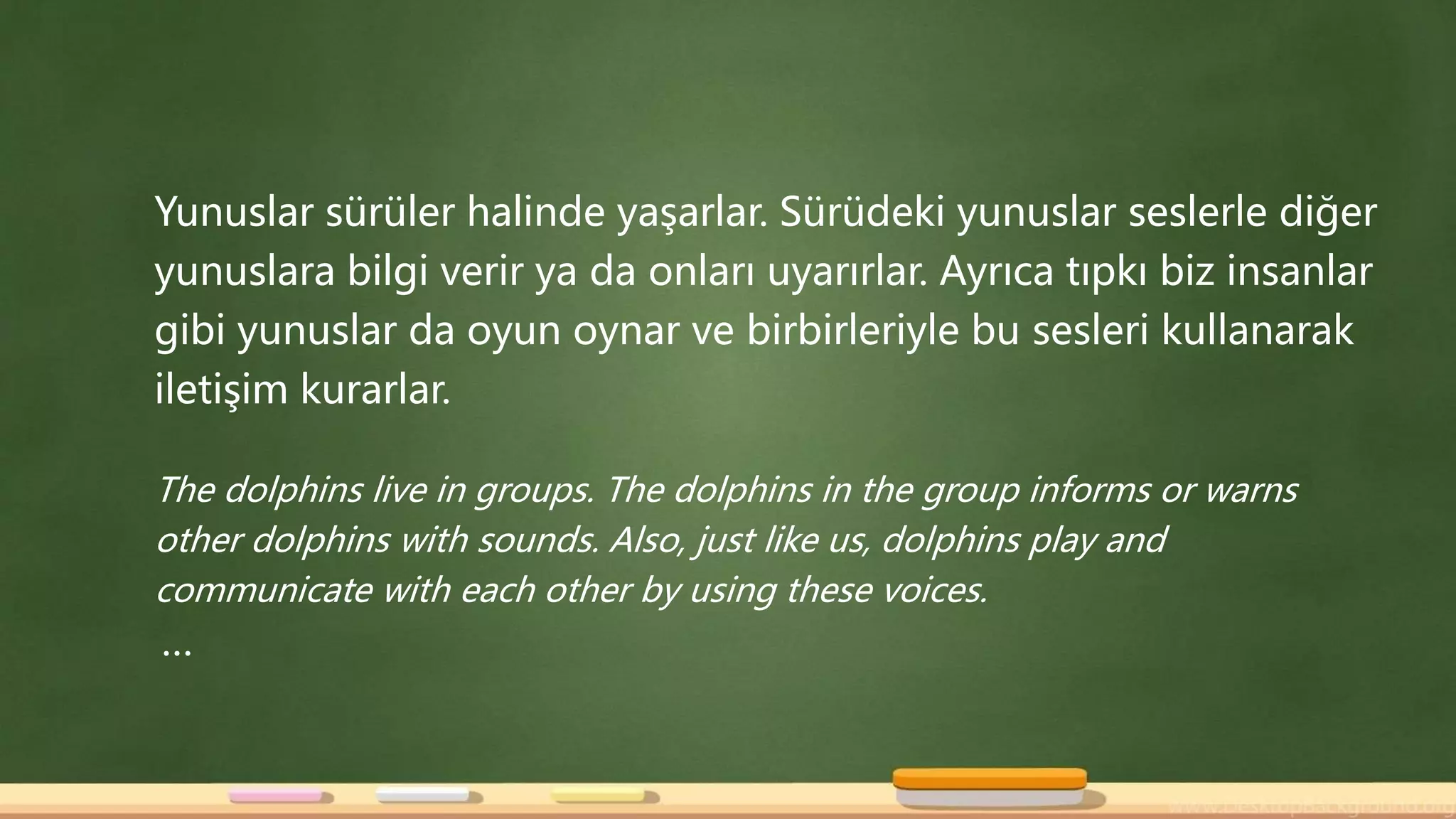 Turkish Reading Books - What Is What 2 (A2) | PPT