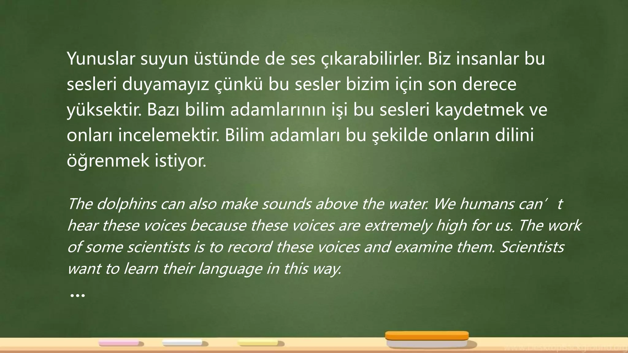 Turkish Reading Books - What Is What 2 (A2) | PPT