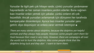 Turkish Reading Books - What Is What 2 (A2) | PPT