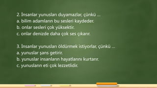 Turkish Reading Books - What Is What 2 (A2) | PPTX