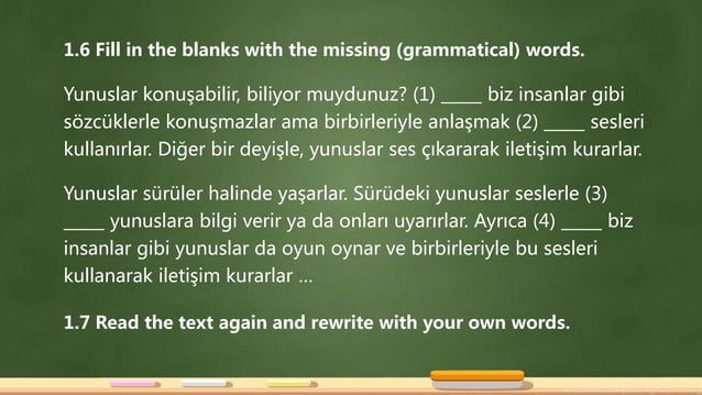 Turkish Reading Books - What Is What 2 (A2) | PPT