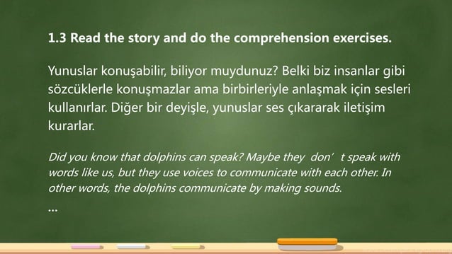 Turkish Reading Books - What Is What 2 (A2) | PPT