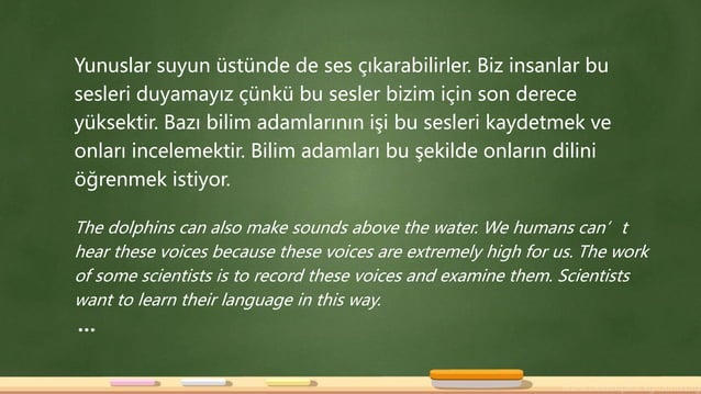 Turkish Reading Books - What Is What 2 (A2) | PPT