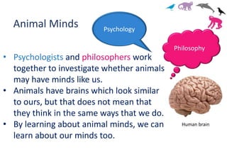 What-Kind-of-Mind-Lesson-1-1.pptx