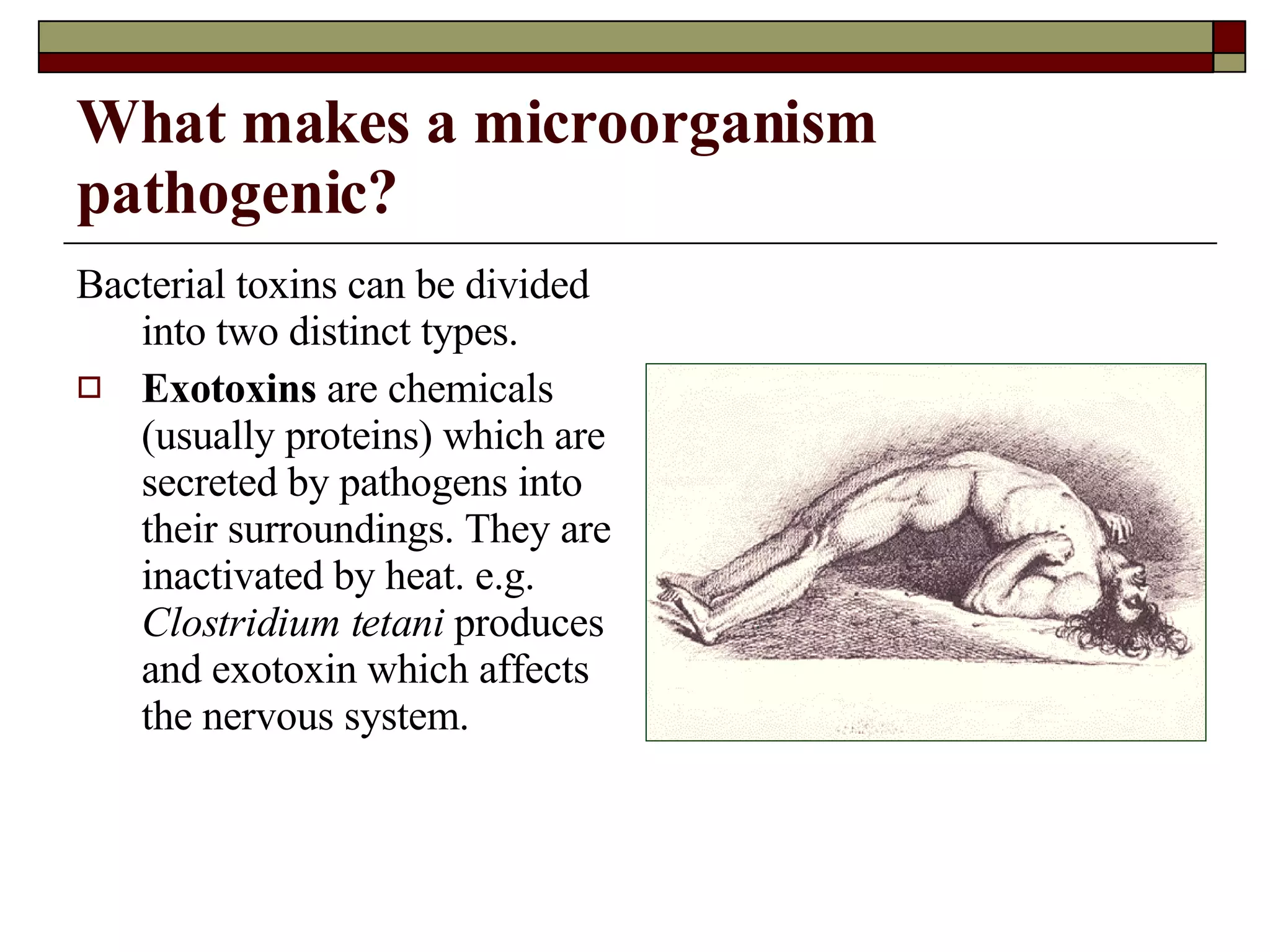 What Makes A Microorganism Pathogenic | PPT