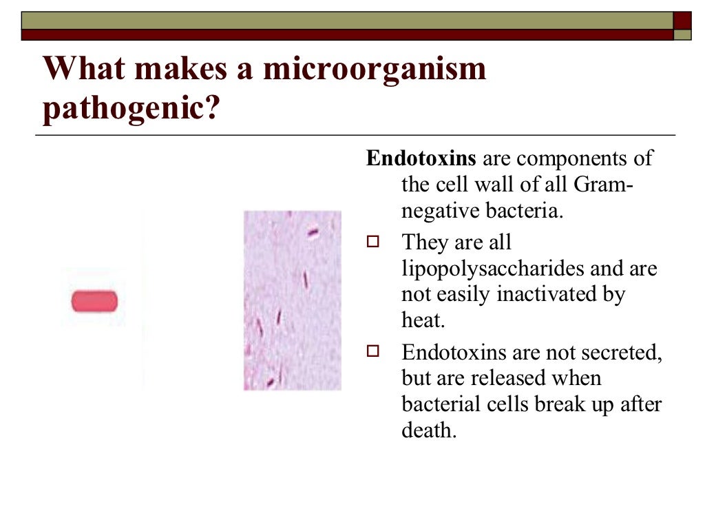 Non Pathogenic Microorganisms