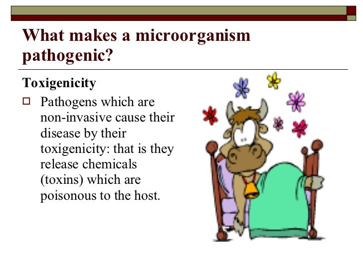 Non Pathogenic Microorganisms