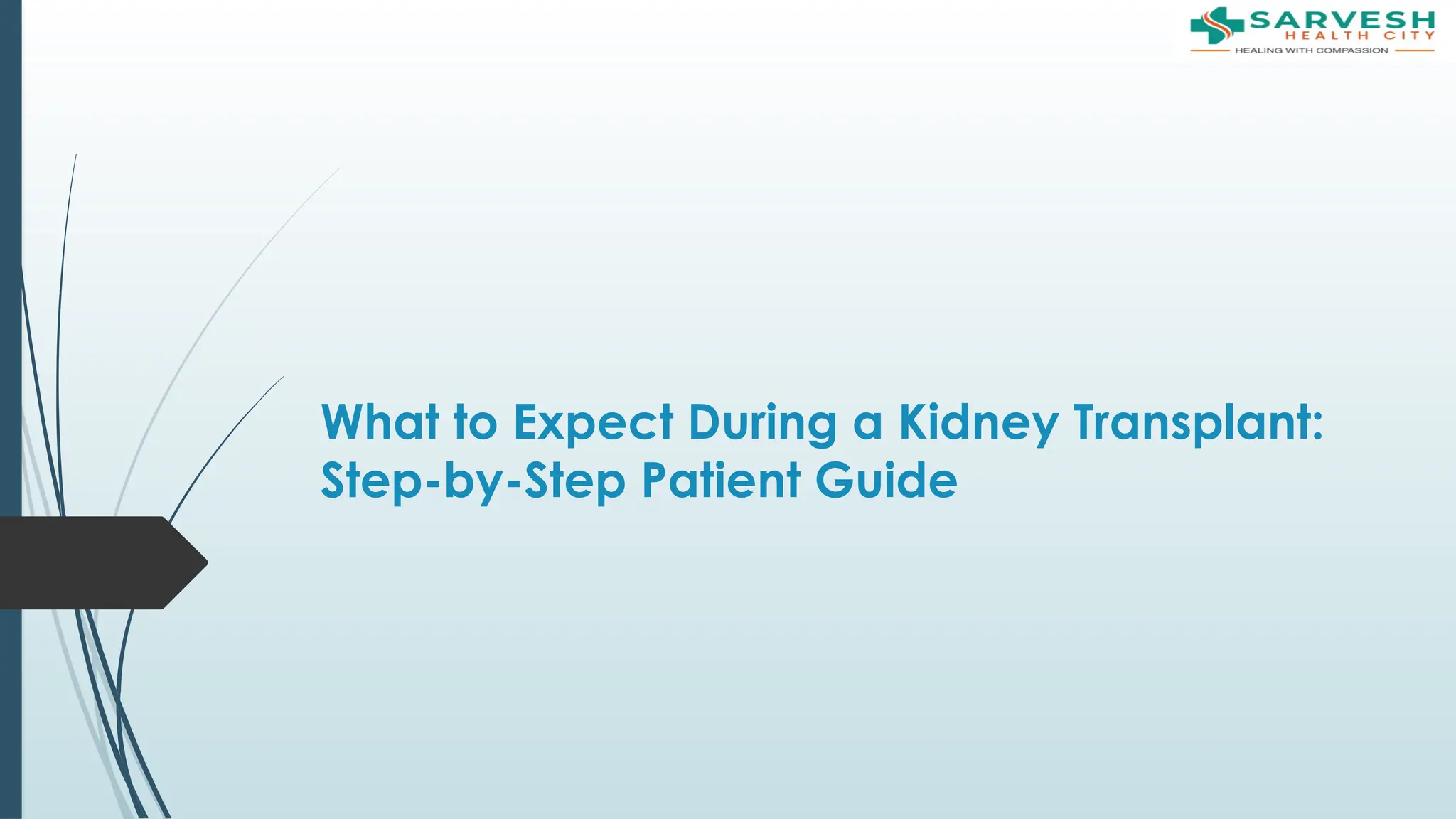 What to Expect During a Kidney Transplant: Step-by-Step Patient Guide ...
