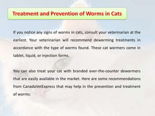 What You Need to Know About Worms in Cats | PPT