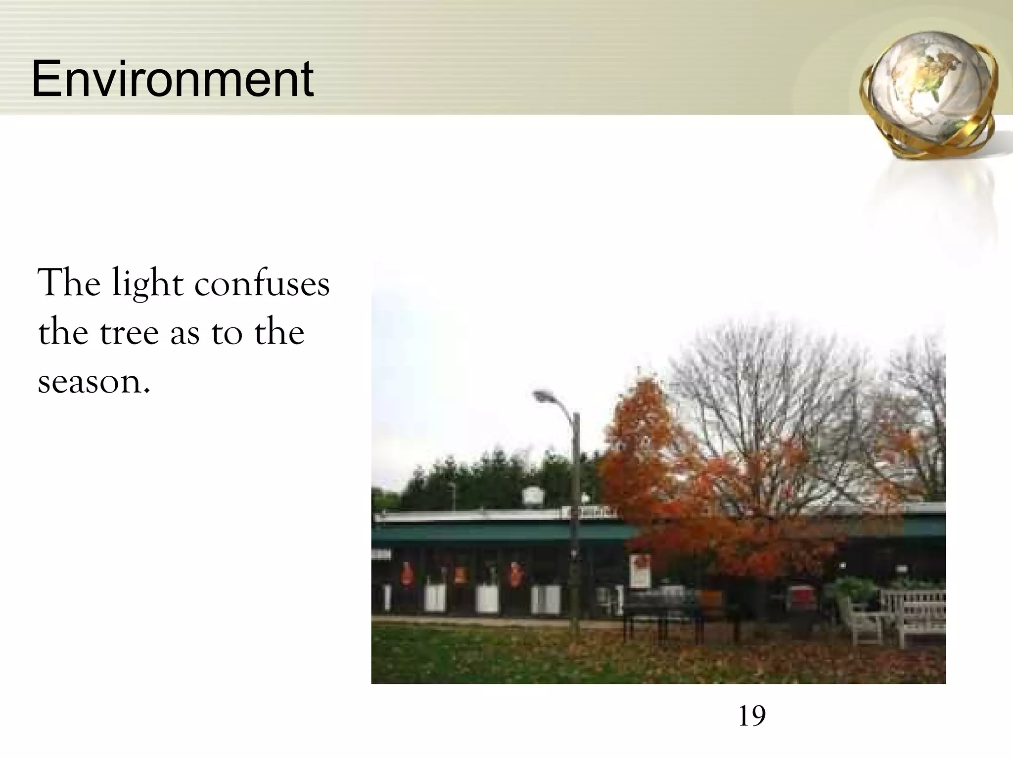 What Aep Can Do About Light Pollution | PPT