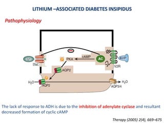 What a nephrologist needs to know about lithium intoxication | PPTX